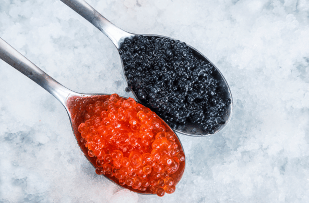 O que é caviar?