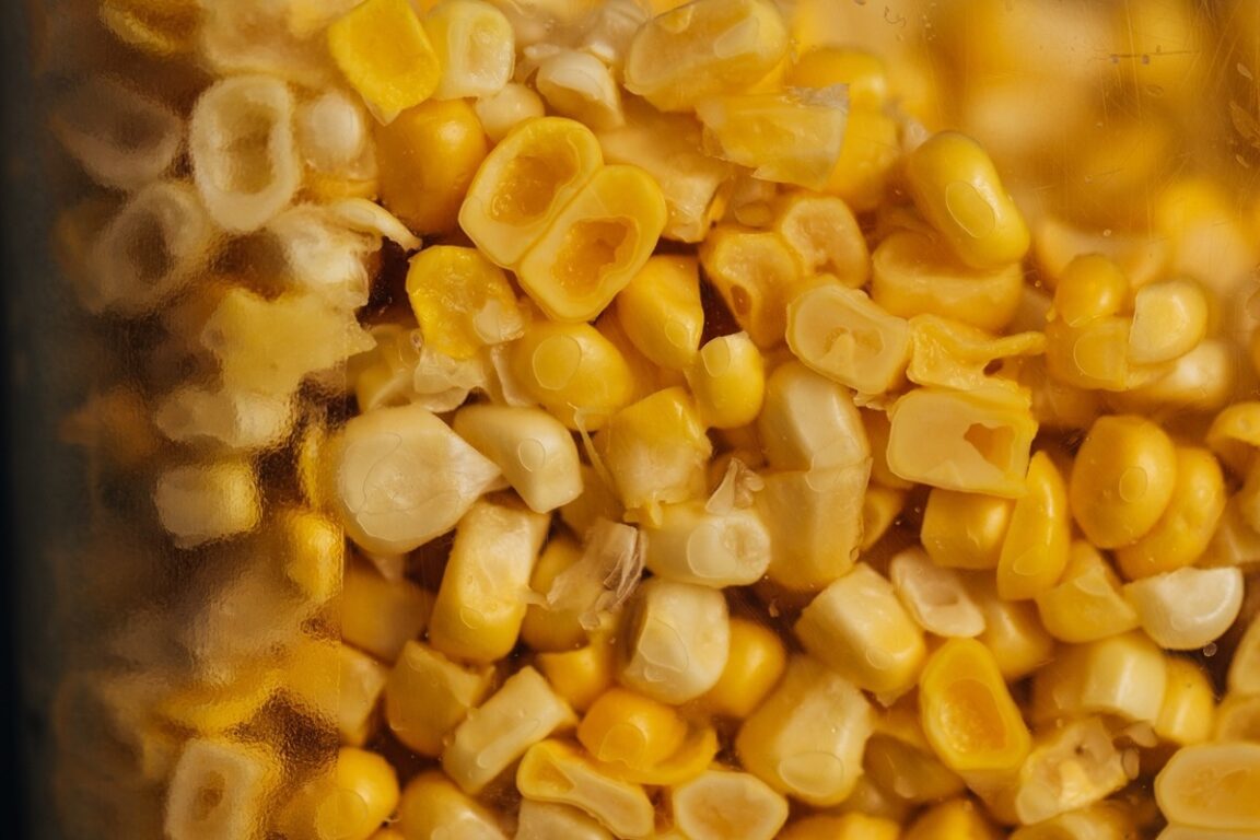 Bolo de lata de milho simples e rápido – Panelaterapia